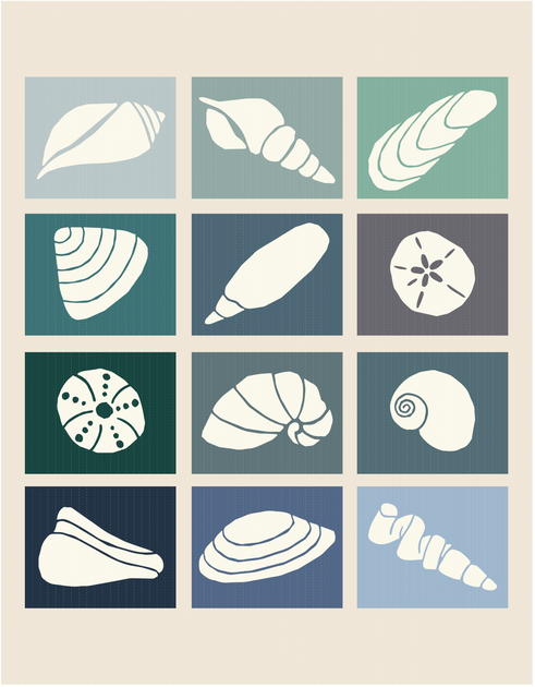 Shoreline Shells Block of the Month – Sewing Arts